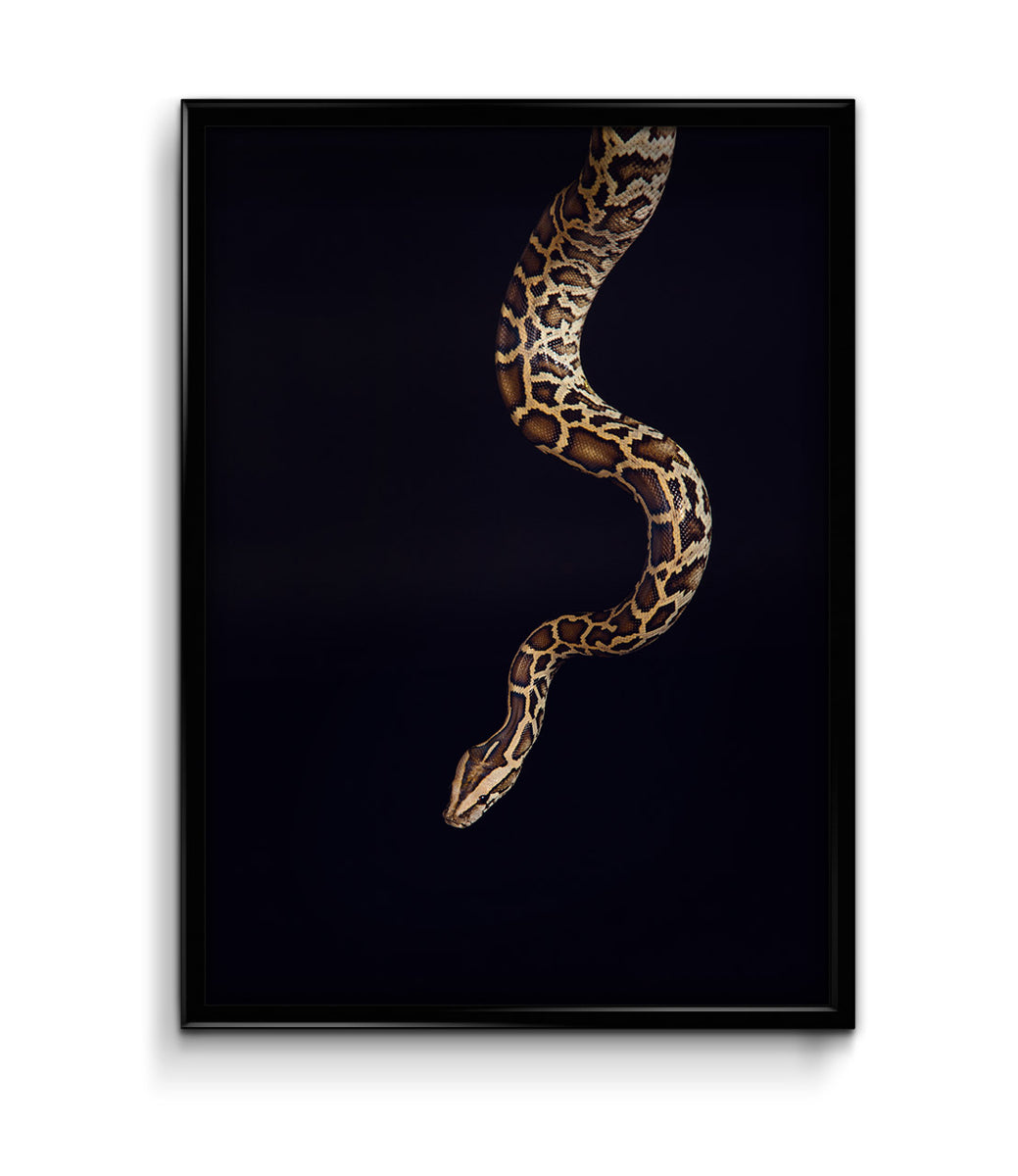 Affiche Python | Affichea